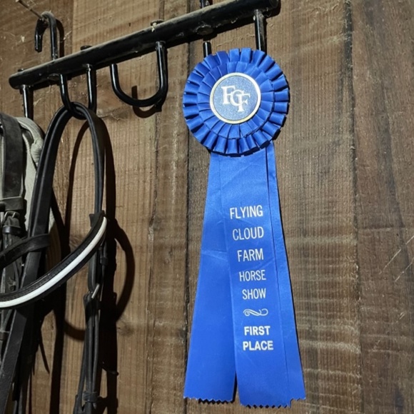 Vintage Equestrian | Accents | Blue Ribbon St Place Horse Show Satin ...